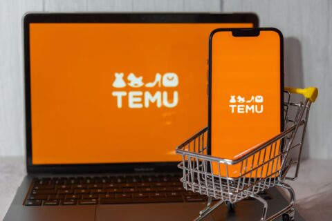 10 Compelling Reasons Why Choose TEMU to Buy Online: The Ultimate ...